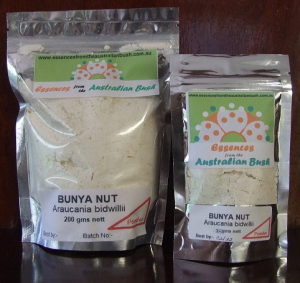 Bunya Nut Powder - Essences From the Australian Bush