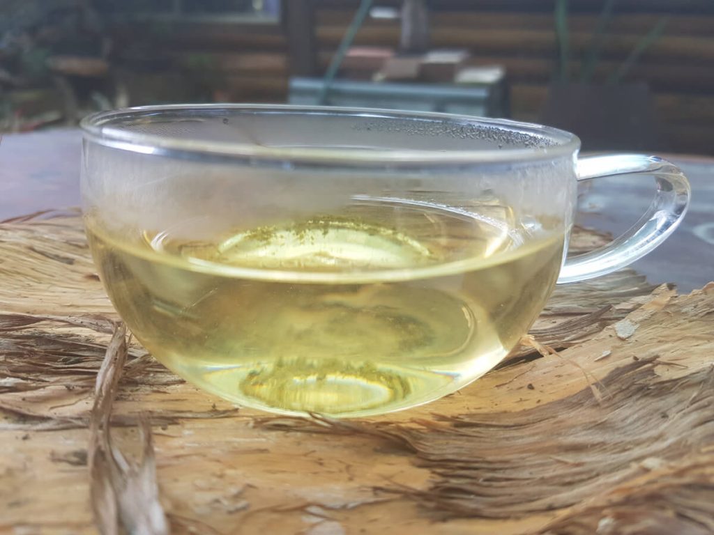 Strawberry Bush Tea - Essences From the Australian Bush